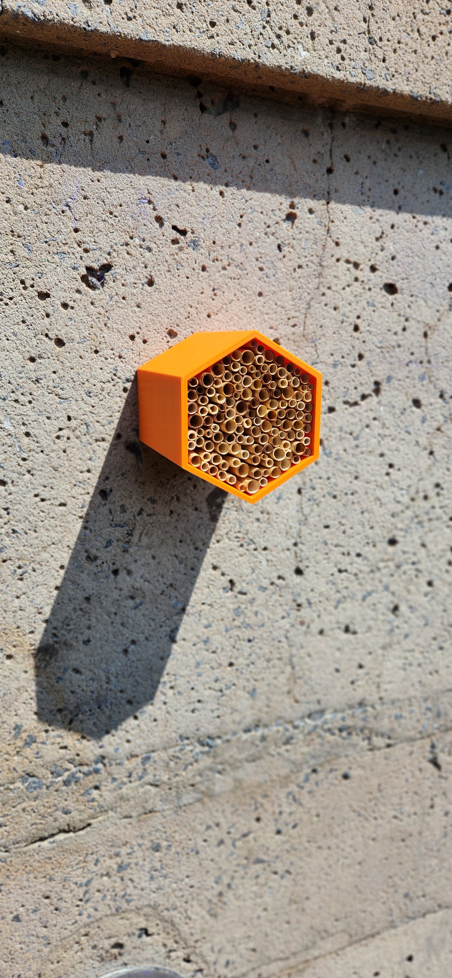 Bee Box 2.0: Transform Your Garden with Native Wildflowers – HexaEvo